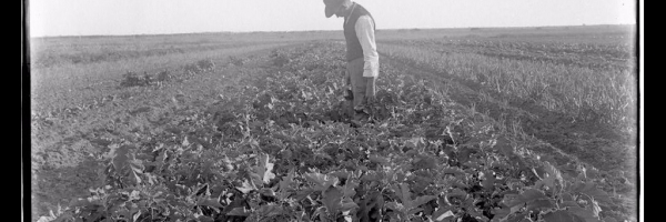 Robert Runyon: Texas Photography’s Best-Kept Secret? - Reporting Texas ...